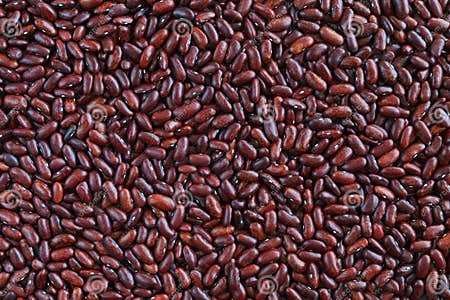 Background of Red String Beans Scattered on the Table Stock Image ...