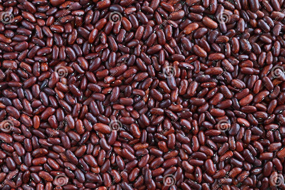 Background of Red String Beans Scattered on the Table Stock Image ...