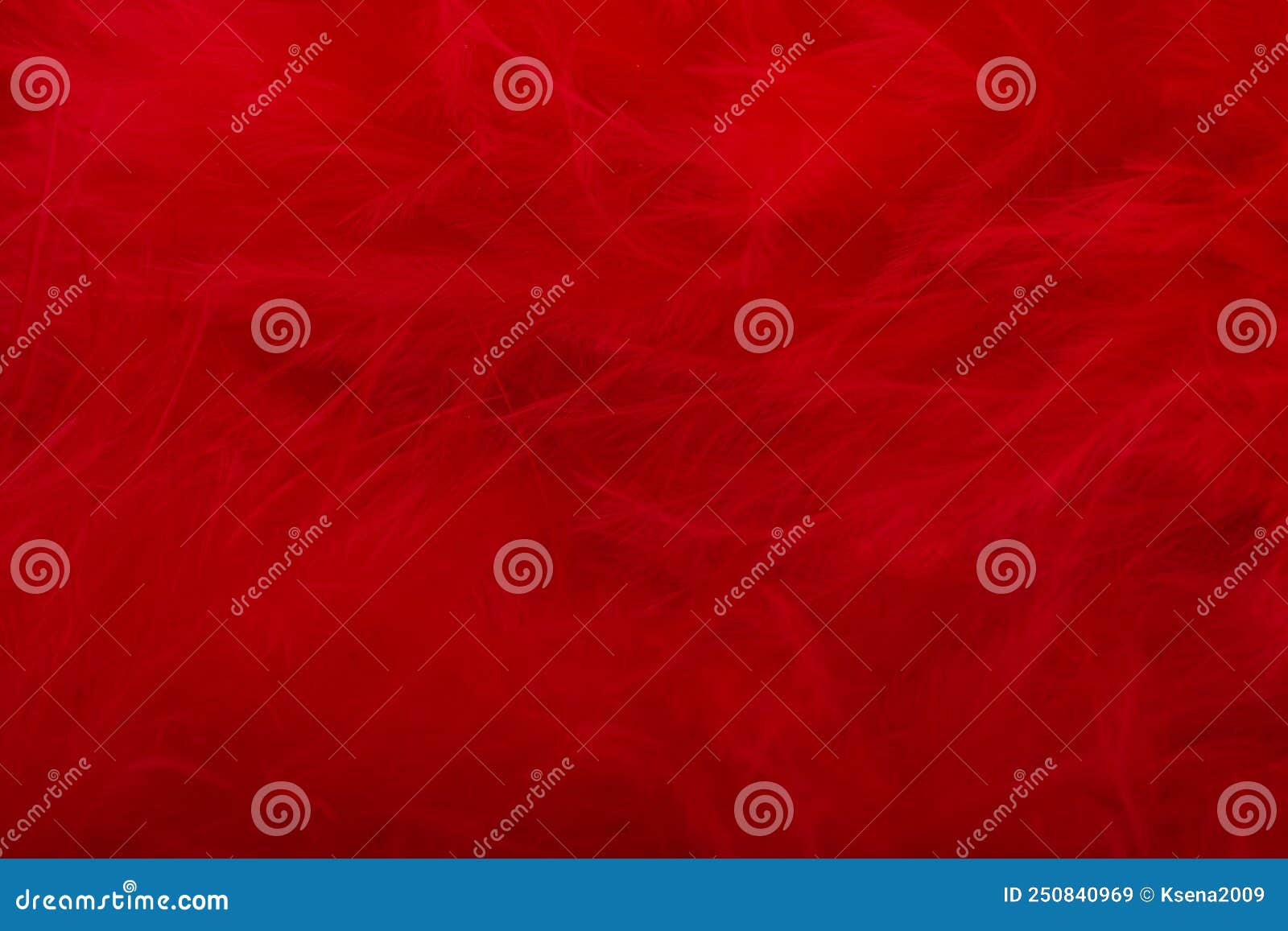 Background of Red Swan Fluff Stock Image - Image of fashion, chicken ...