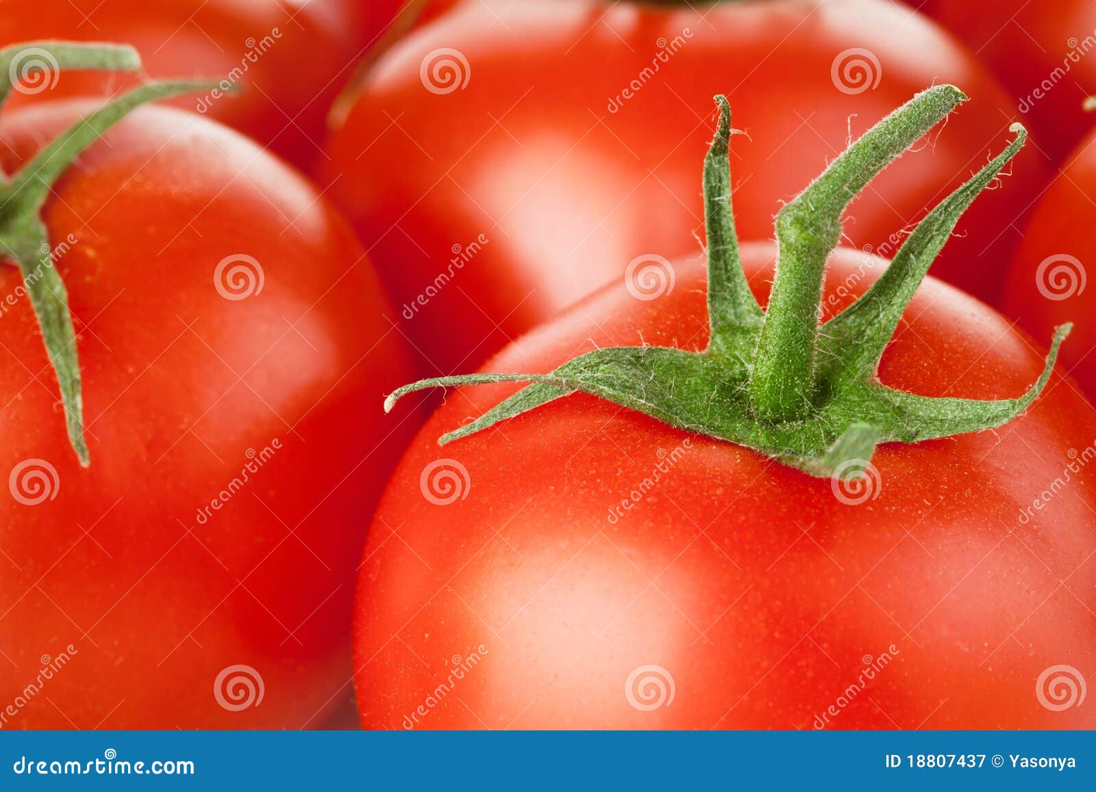 Background of red tomatoes stock image. Image of healthy - 18807437