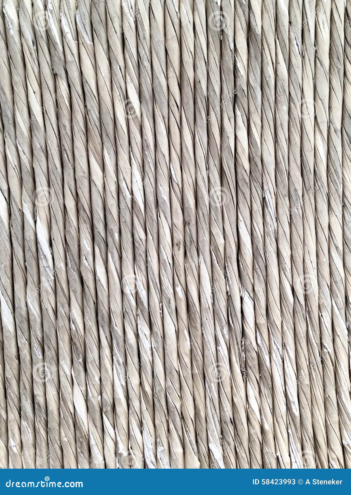 Background reed stock image. Image of lines, backgrounds - 58423993