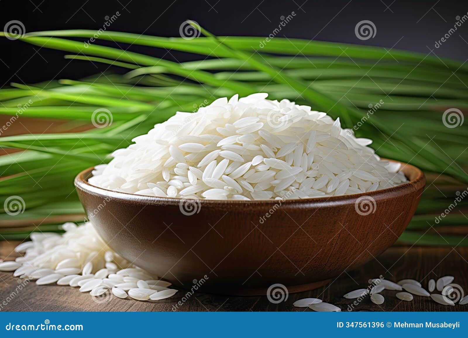Background of Rice Plant with White and Paddy Rice. Stock Illustration ...