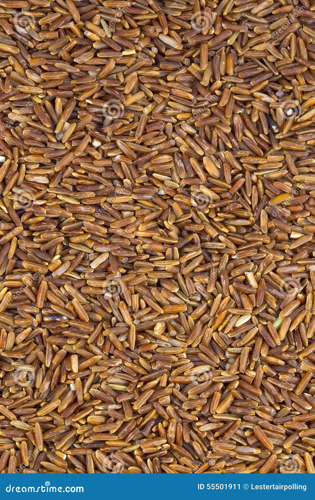 Background of rice stock image. Image of dietary, seed - 55501911