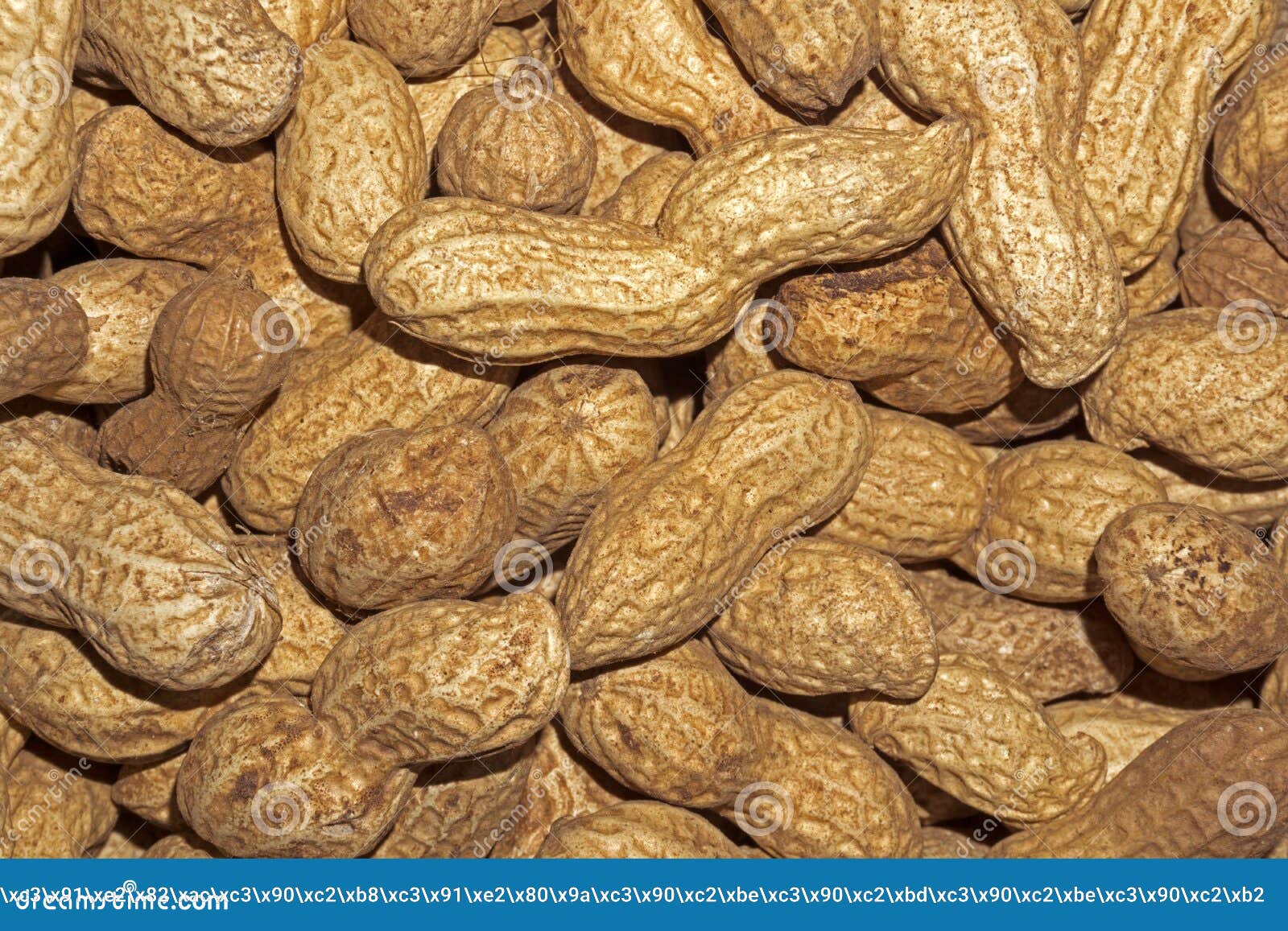 Background - Uncooked Inshell Peanuts Stock Photo - Image of weight ...