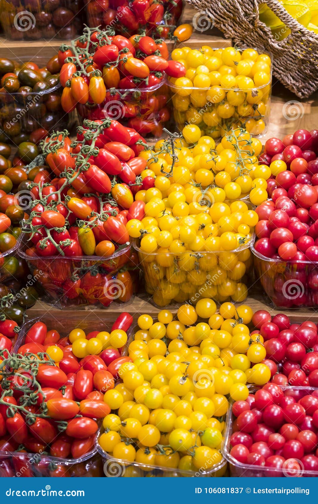 Ripe Varieties of Cherry Tomatoes Stock Image - Image of harvest ...