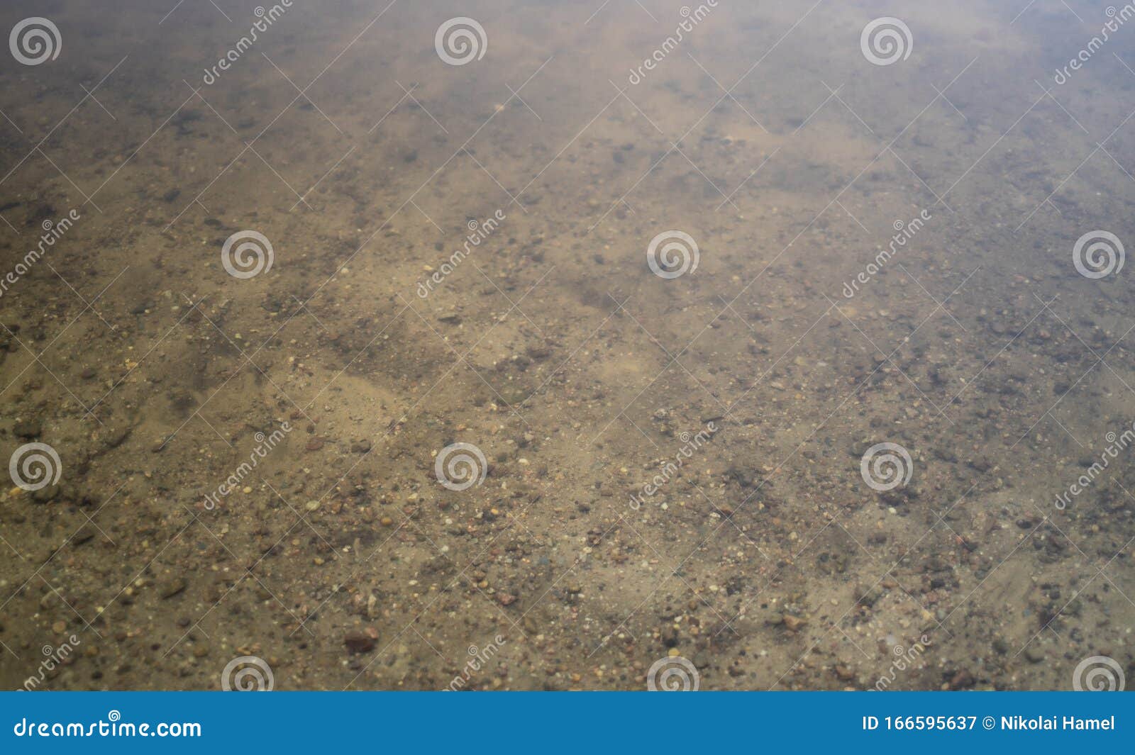 Background of a Riverbed through the Surface of the Water Stock Image ...