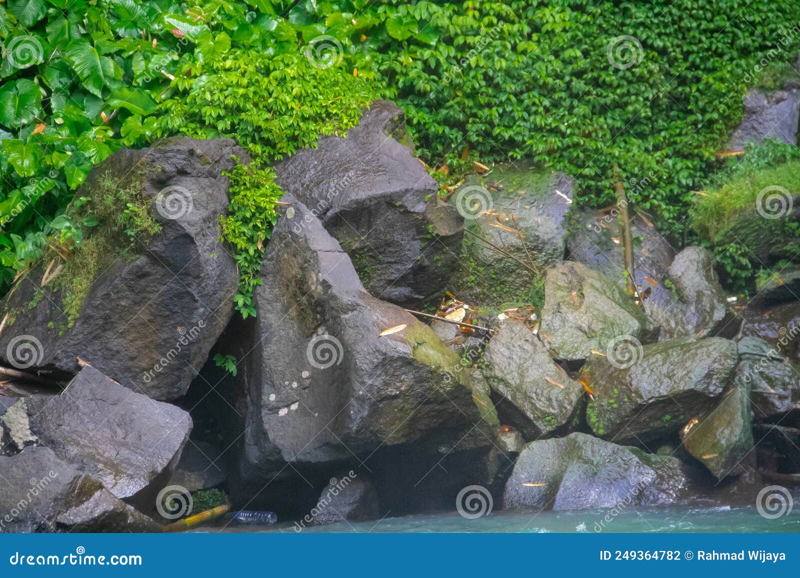 Background of Rocks in the River Flow Stock Photo - Image of flower ...