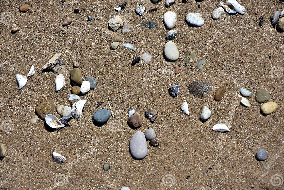 Background of Rocks Sand and Shells Stock Photo - Image of dark ...