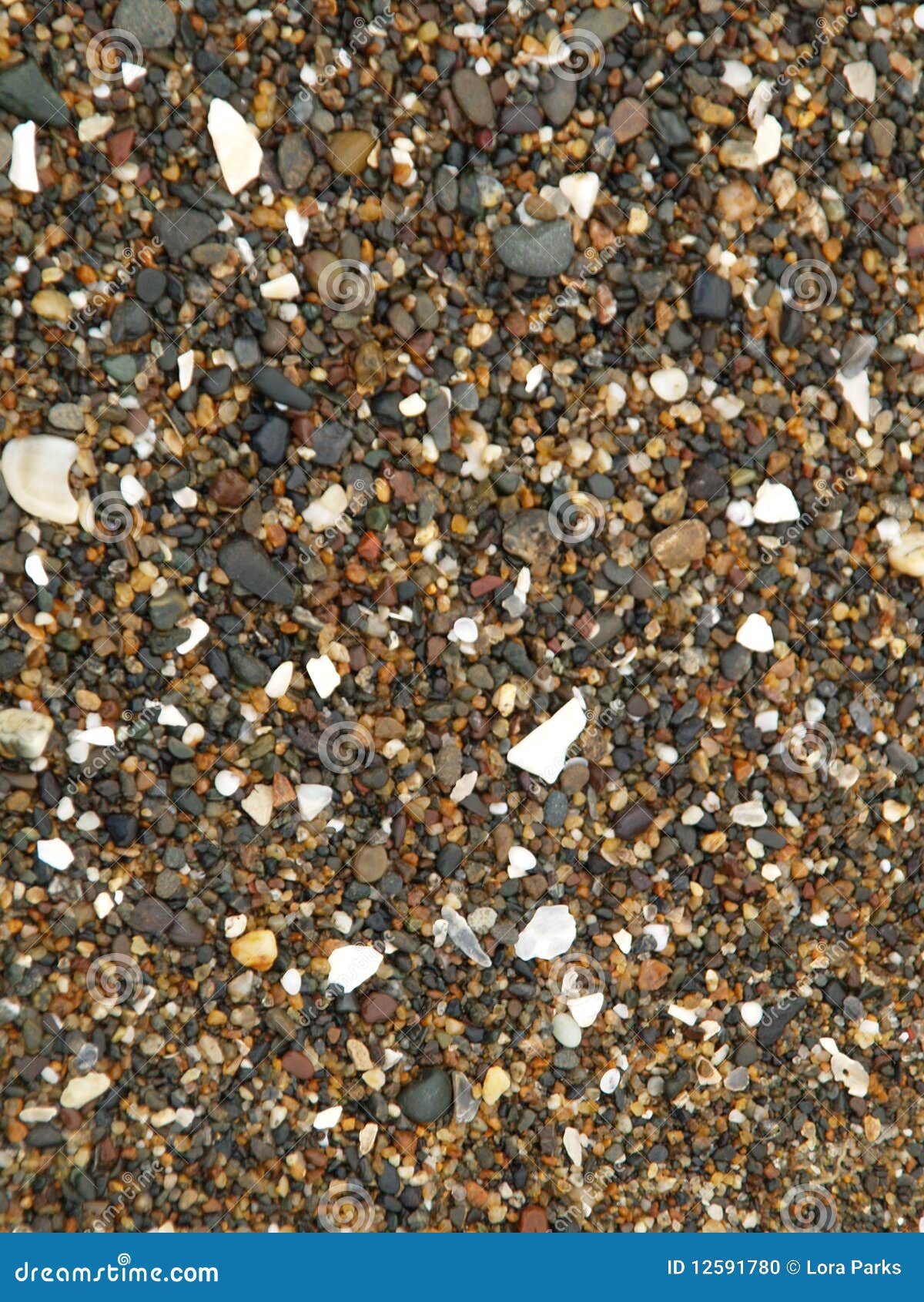 Background of Rocks and Shells Stock Photo - Image of surface, geology ...