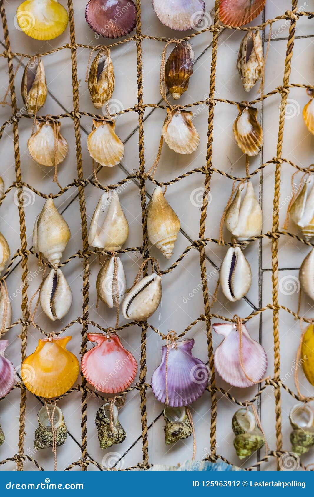 Background from the Rope-bound Sea Shells Stock Photo - Image of ...