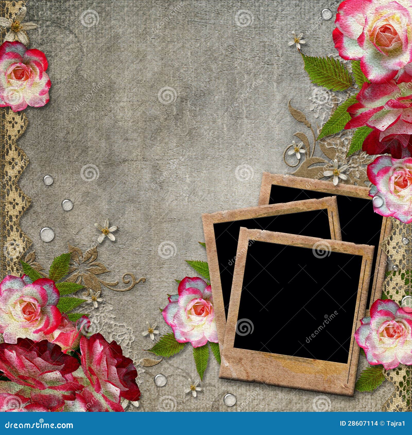 Background with Roses and Frames Stock Illustration - Illustration of ...