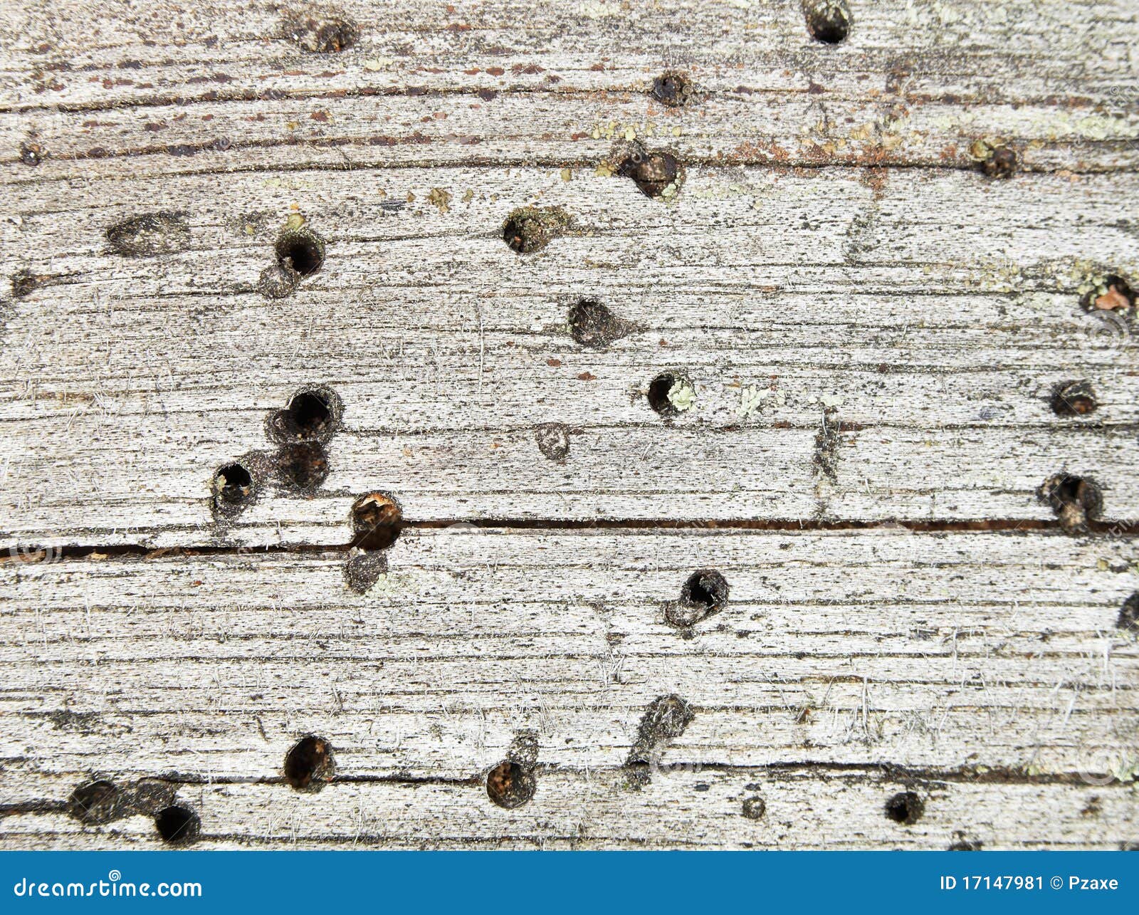 Background - rotten wood stock image. Image of backdrop - 17147981