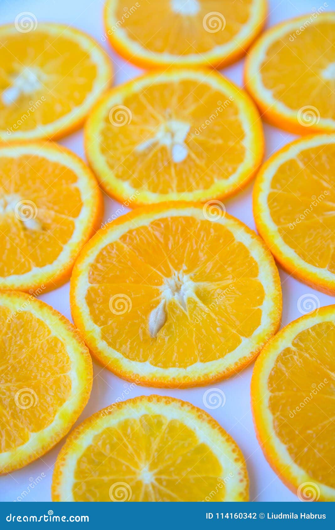 Background of Round Slices of Orange Orange. Stock Photo - Image of ...