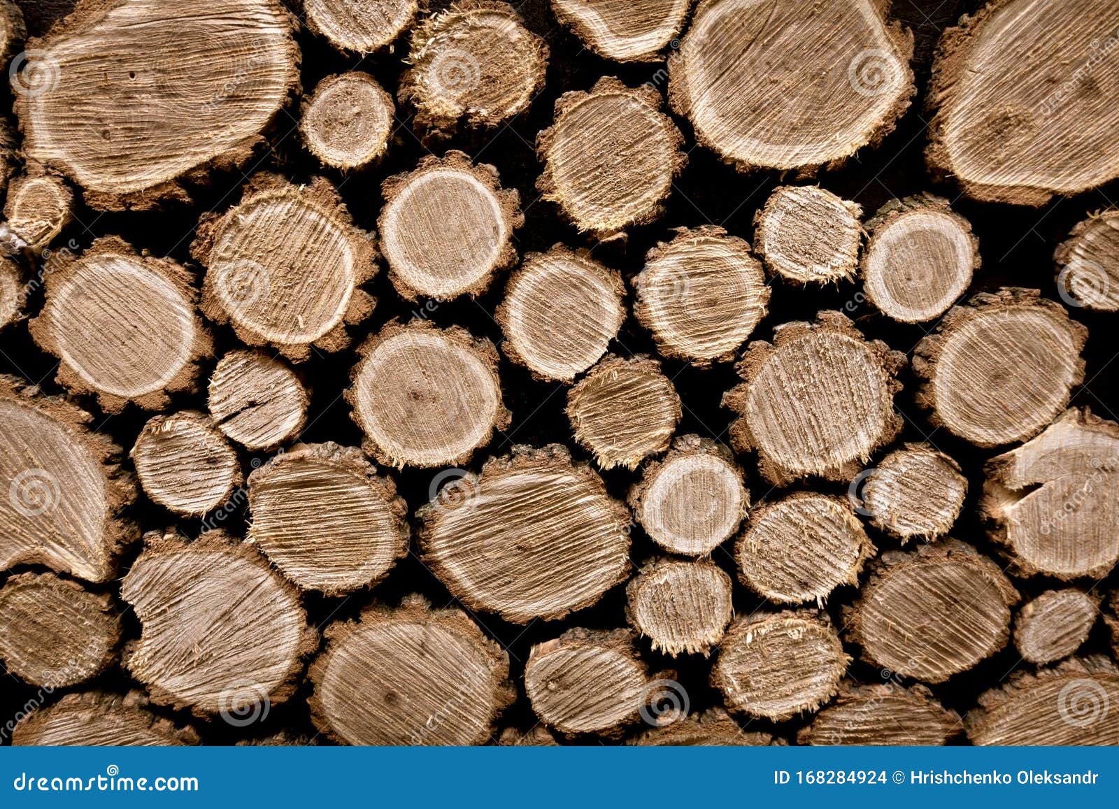 Background from Round Wooden Slices of a Tree Trunk Stock Photo - Image ...