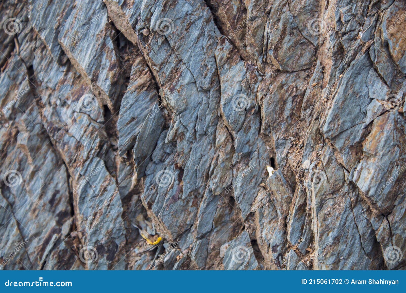 Background Of Rust Of Breeds Stock Photo | CartoonDealer.com #215061702