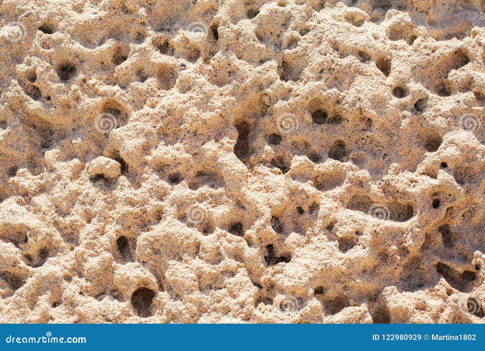 Porous stone texture stock image. Image of distressed - 122980929