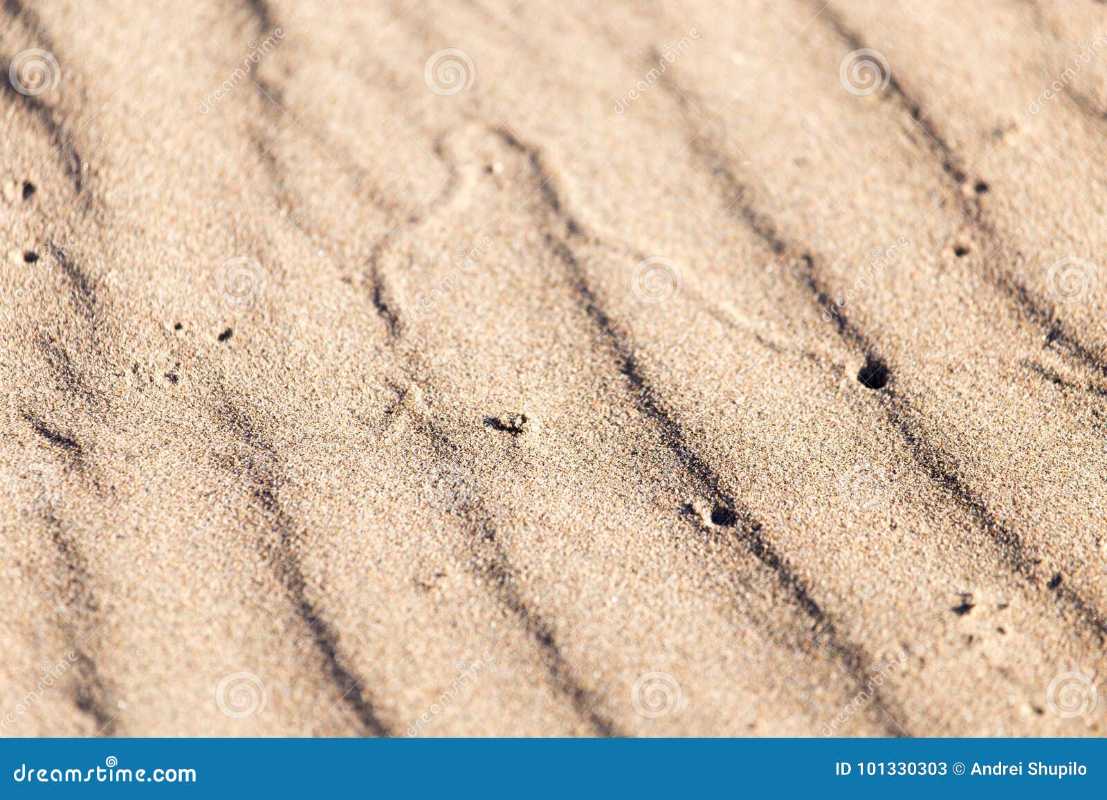 Background of sand stock image. Image of coastline, macro - 101330303