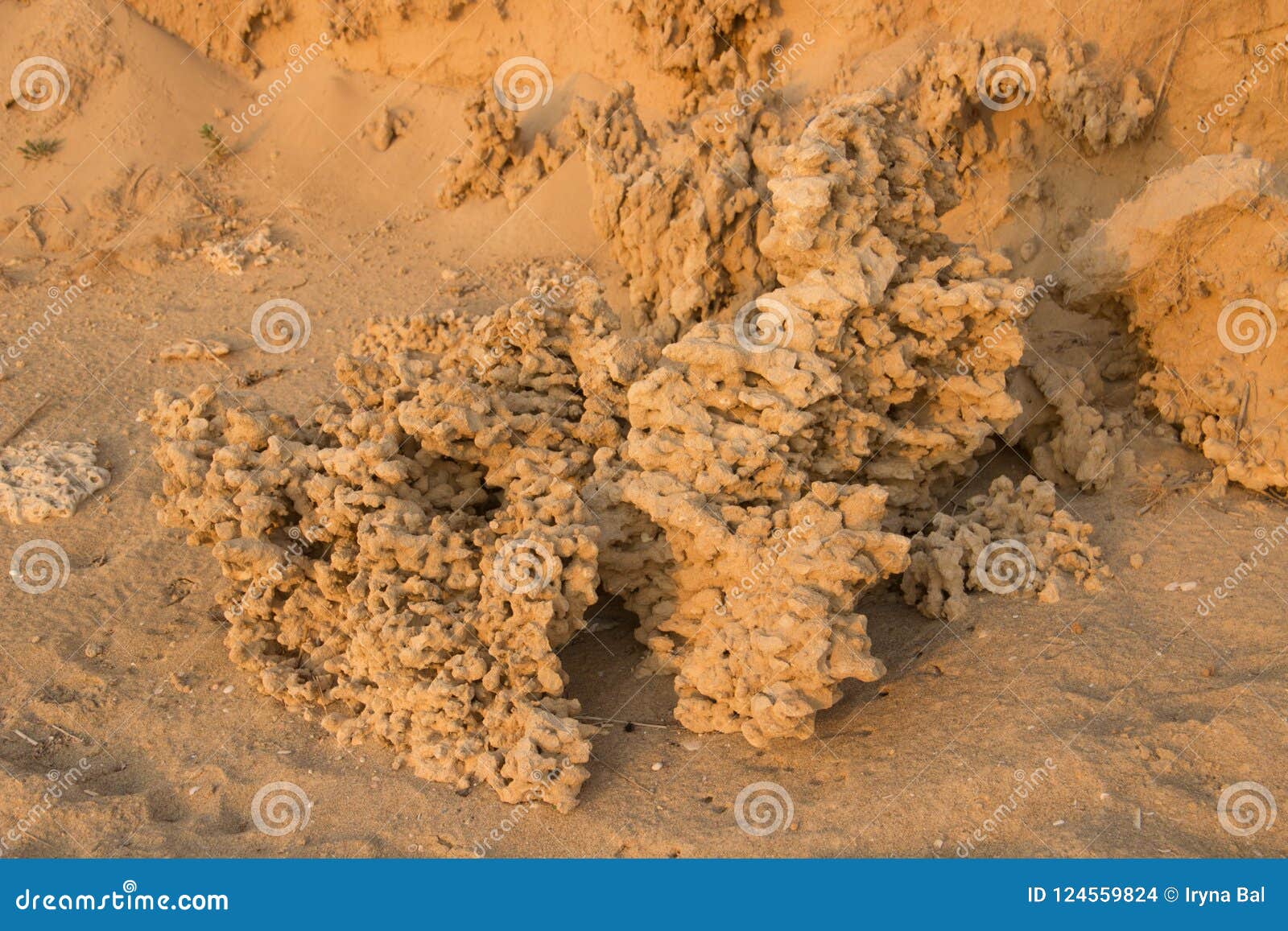 Interesting Structures Created by the Wind from the Sand on the ...