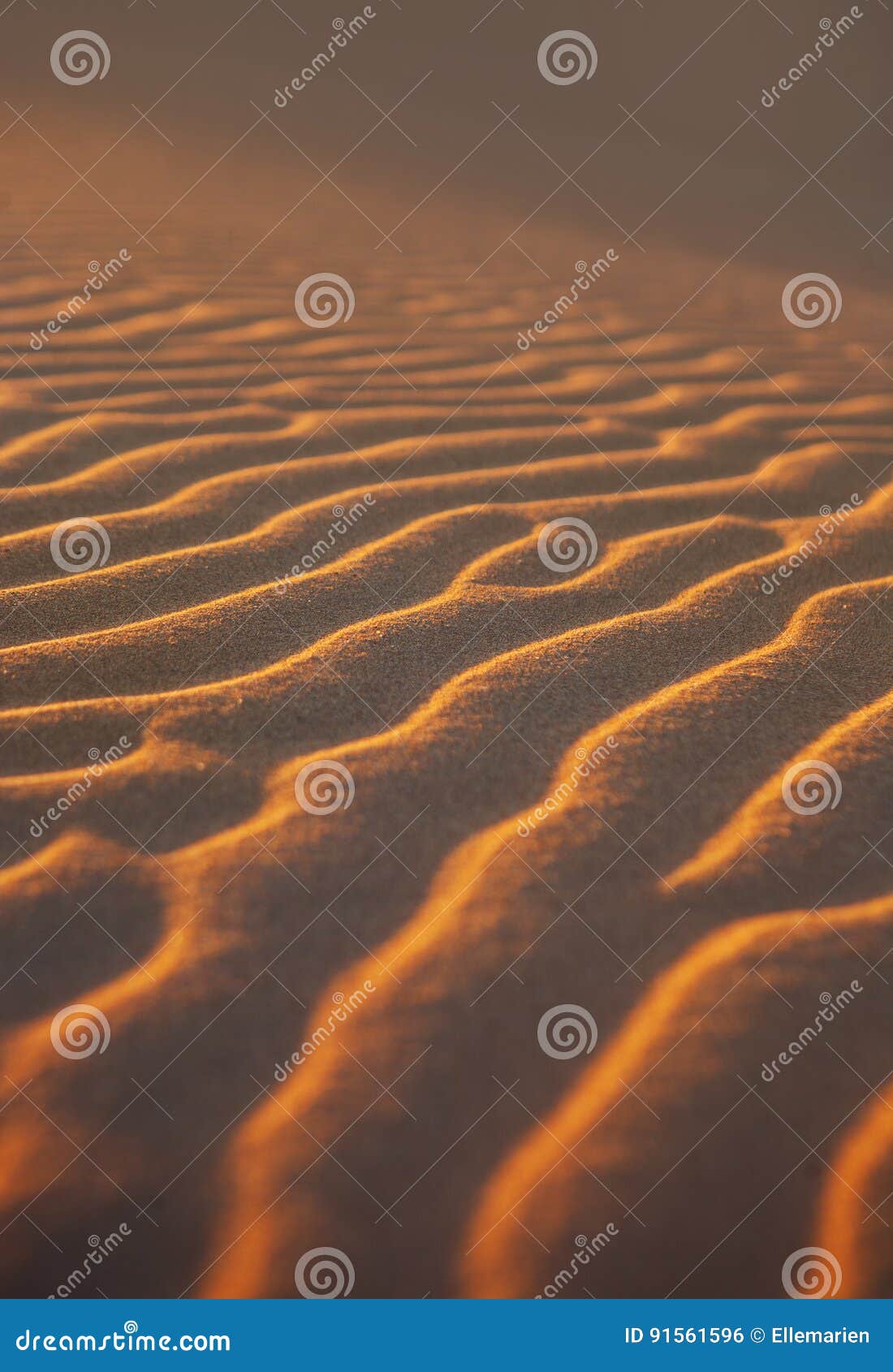 Background Sand Pattern in the Desert at Sunset Stock Photo - Image of ...