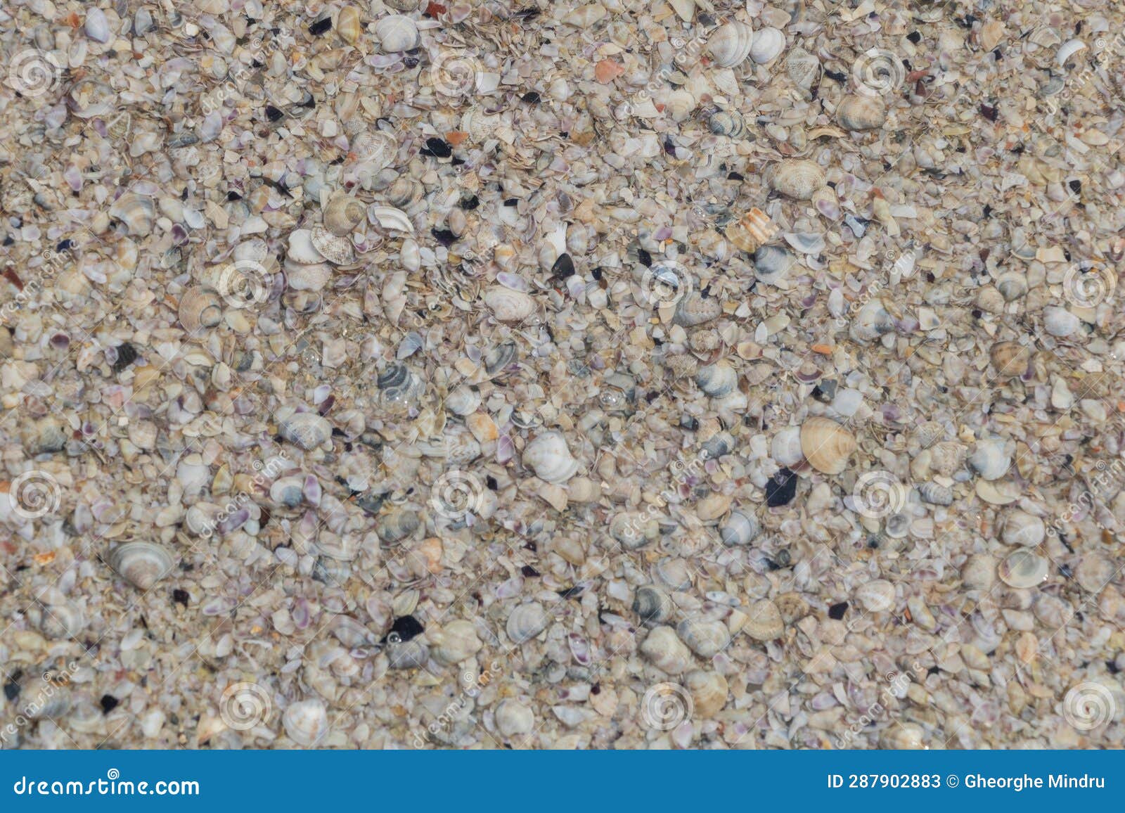 Background of Sand and Pebbles on the Beach. Close-up Stock Image ...