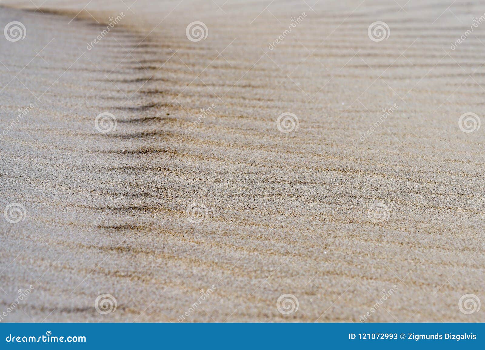 Wind Formed Ridges In The Desert Dunes, Dubai Stock Photography ...