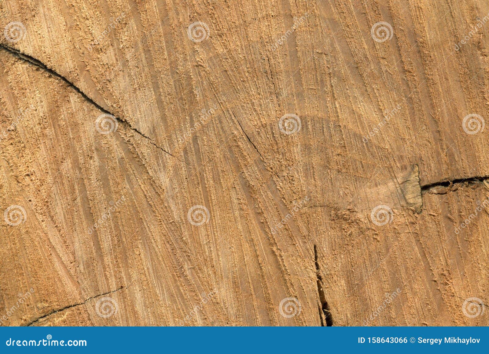 Background Saw Cut Wood with Traces of Saw Teeth Stock Photo - Image of ...