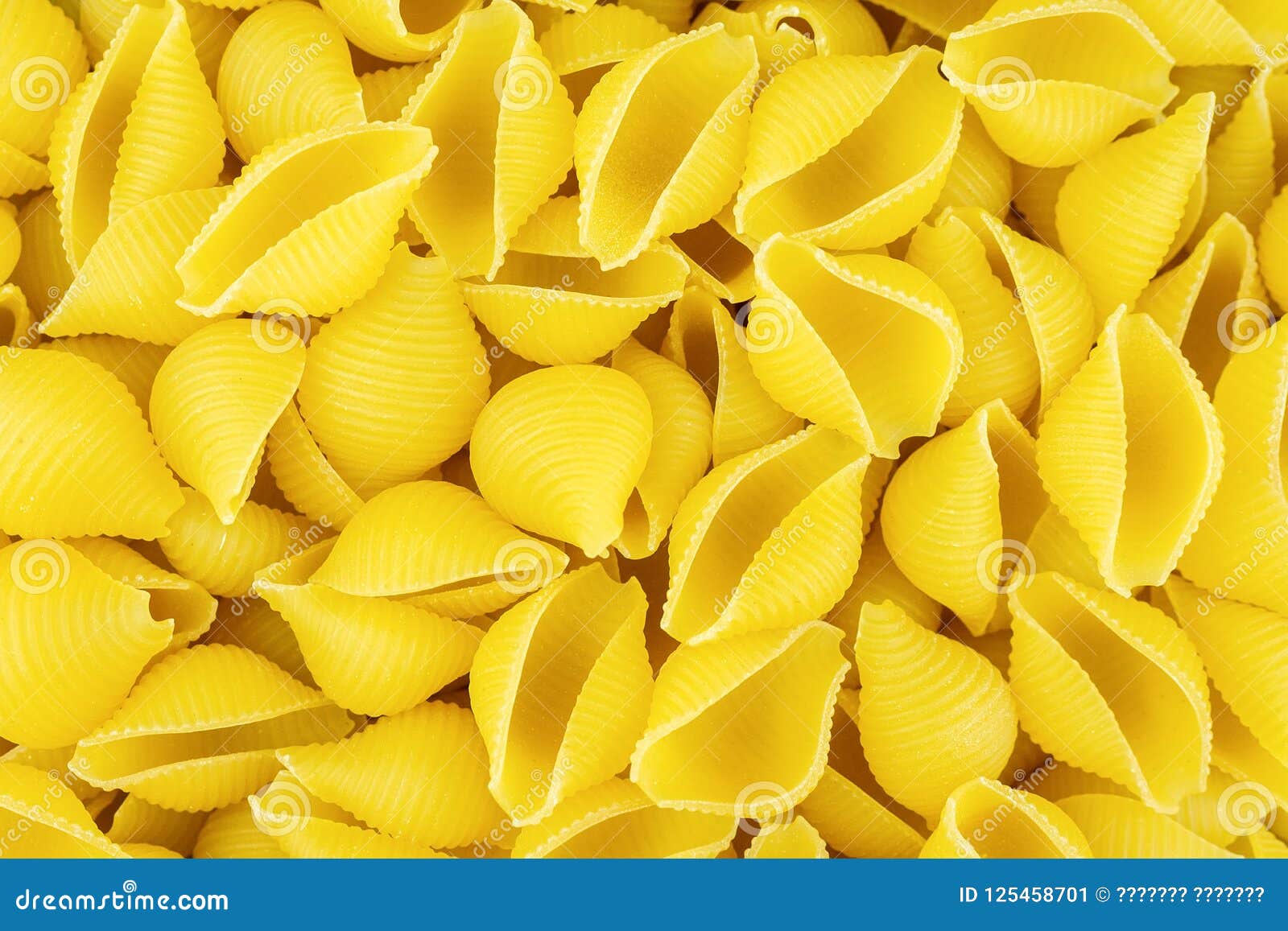 Pasta Background Conchiglie Rigate Stock Image - Image of conchiglioni ...