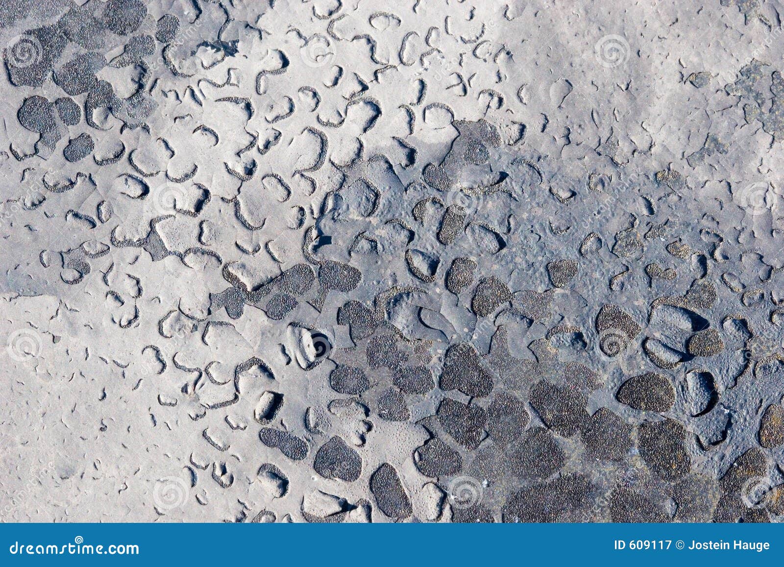 135 Car Paint Spotted Stock Photos - Free & Royalty-Free Stock Photos ...