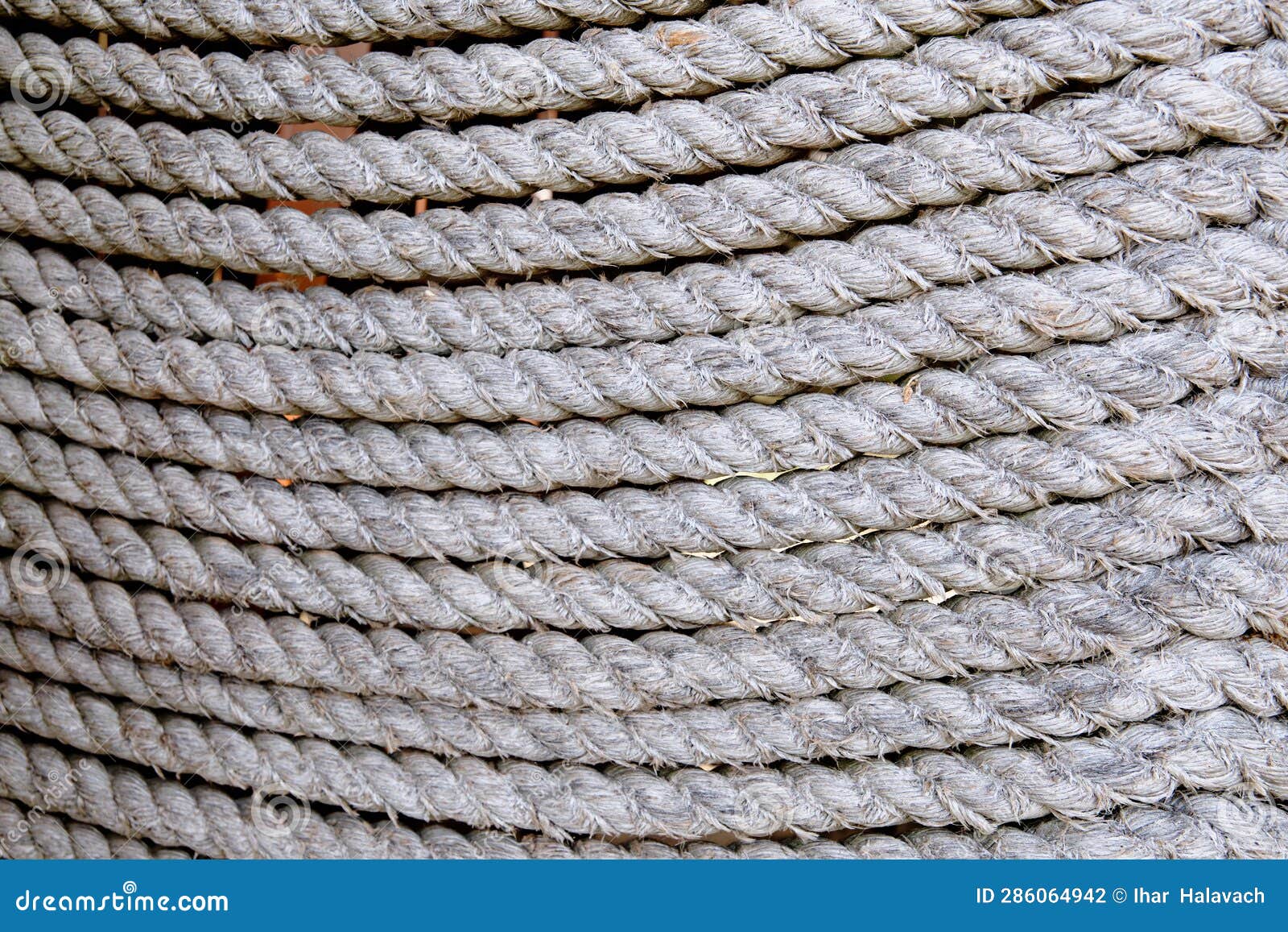 Background of Sea Ropes Laid Out in a Row Close-up Stock Photo - Image ...