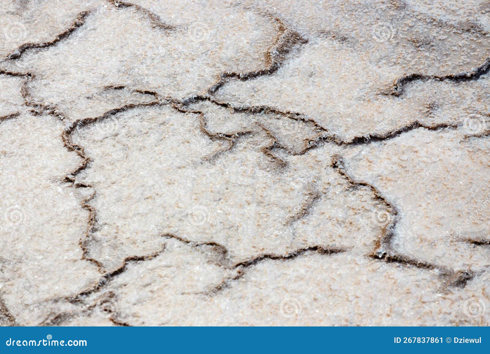 Background from Sea Salt. Coarse Rock Salt Texture Stock Image - Image ...