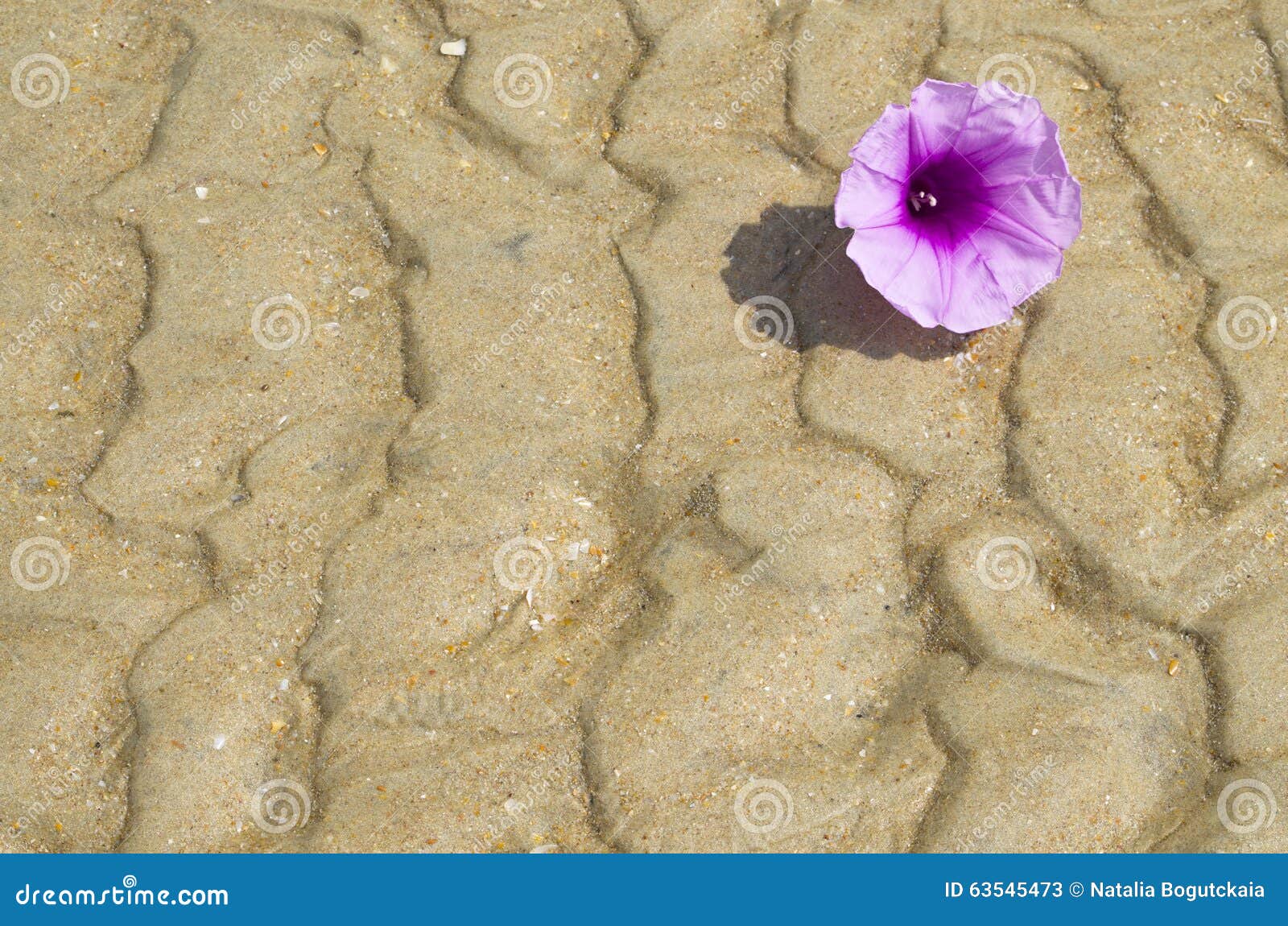 Background Sea Sand with Drawing Stock Image - Image of drawing, nature ...