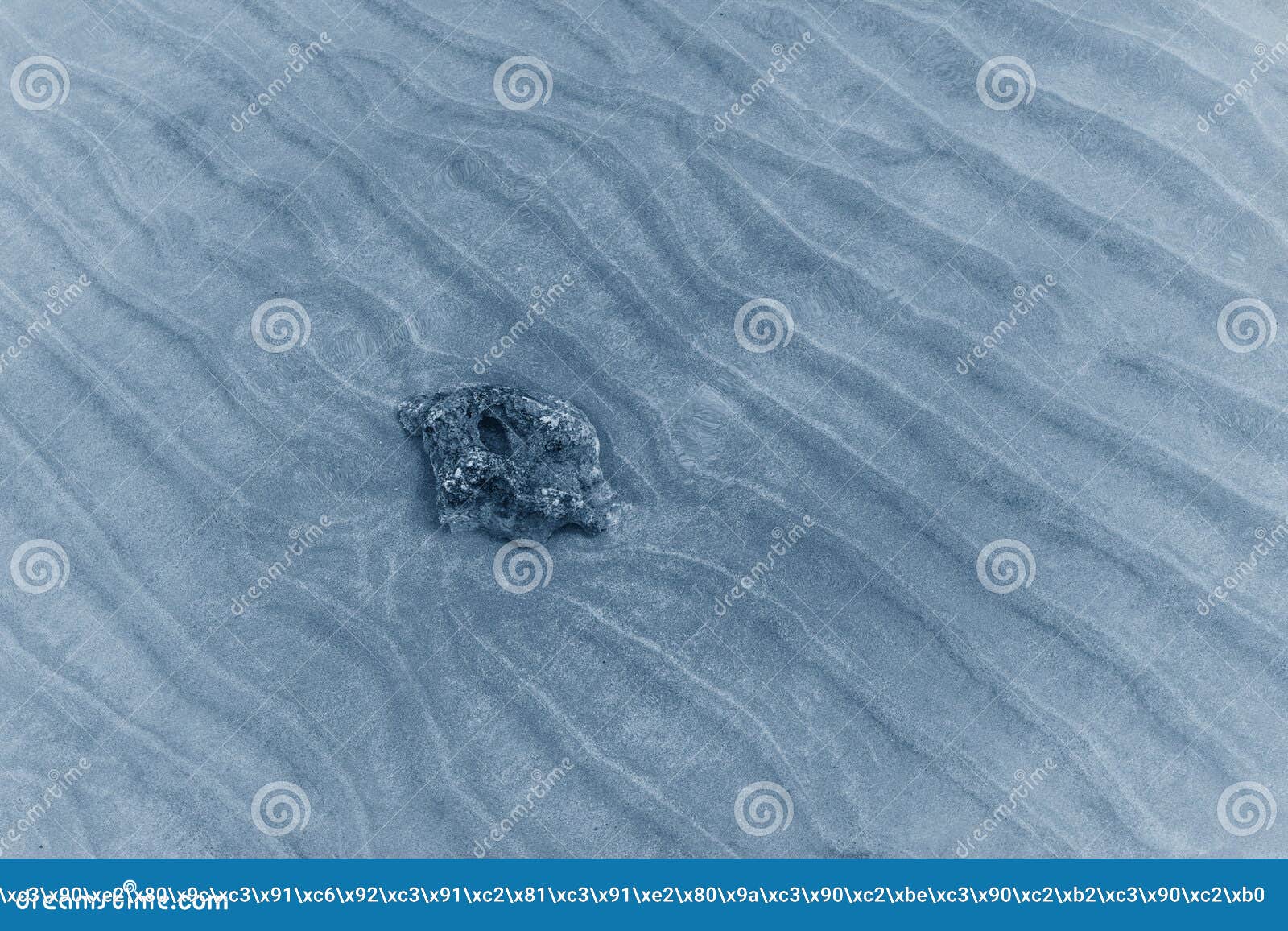 Background of the Seabed Sand with Stone in Classic Blue Stock Photo ...