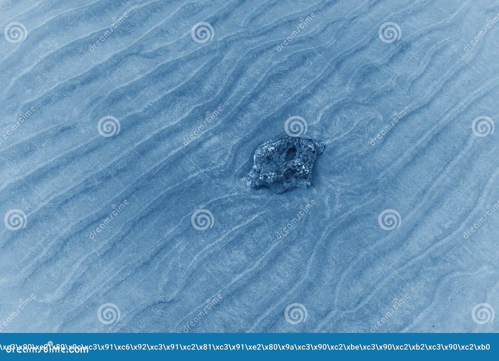 Background of the Seabed Sand with Stone in Classic Blue Stock Photo ...