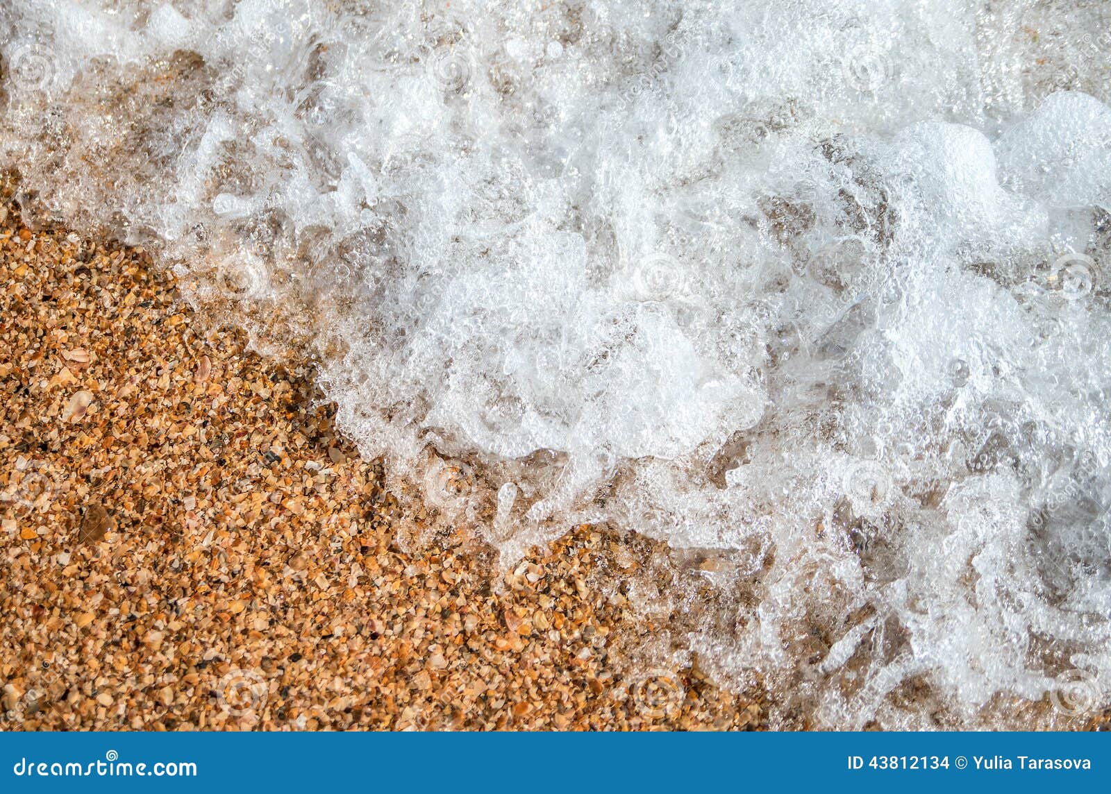 Seashell In The Sand Stock Photography | CartoonDealer.com #53185256