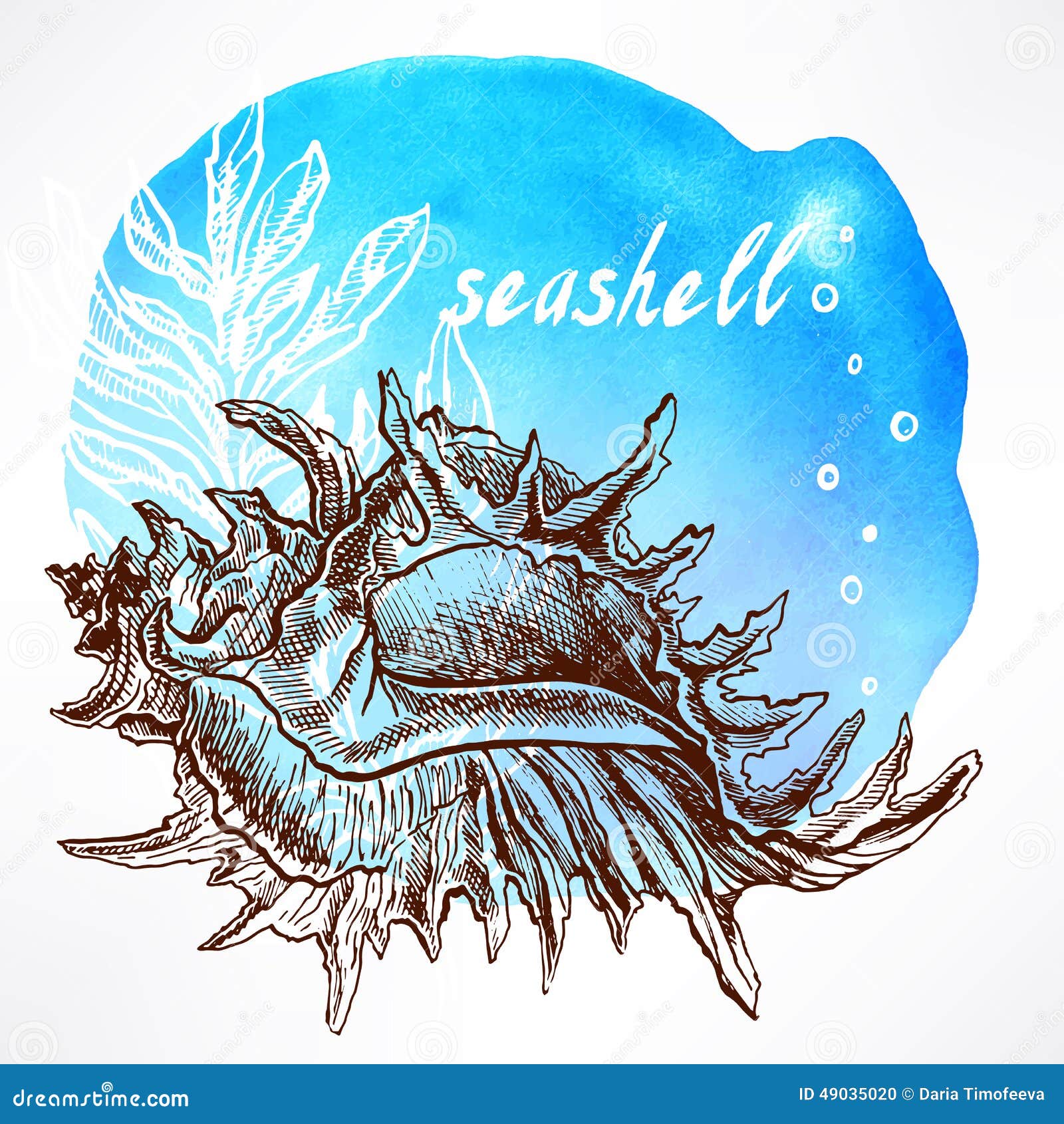 Background with Seaweed and Shell - 2 Stock Vector - Illustration of ...