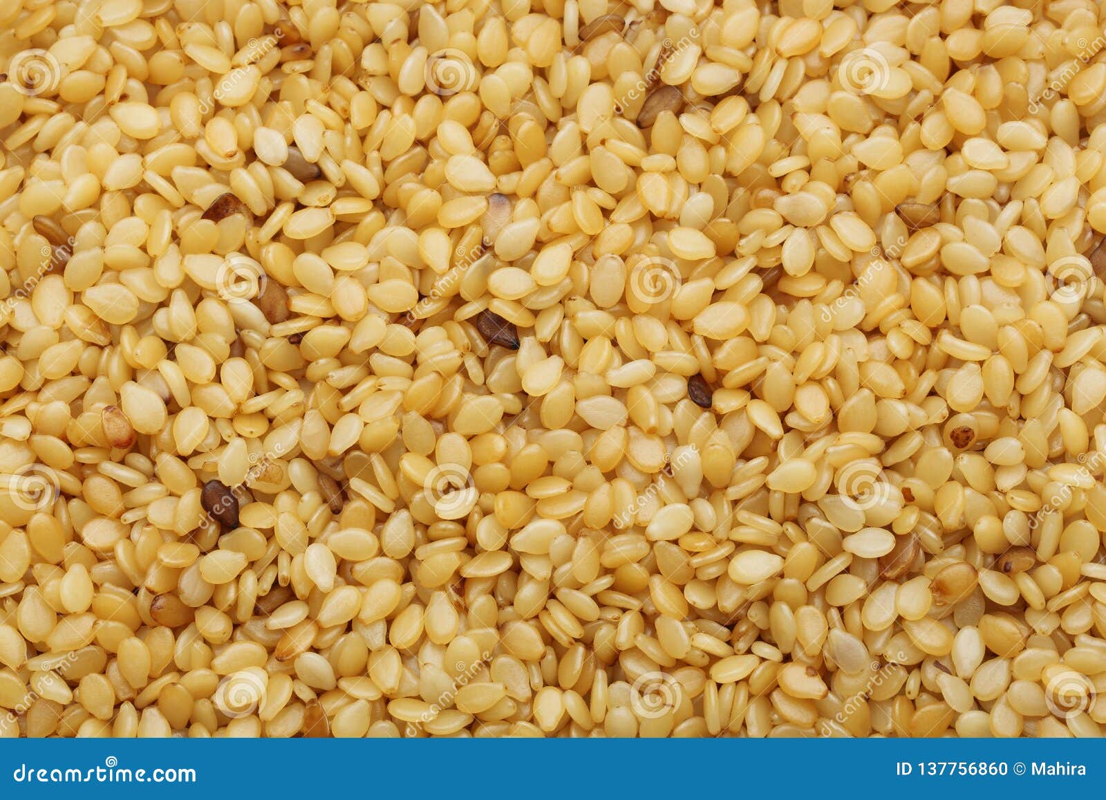 Background of sesame seeds stock photo. Image of macro - 137756860