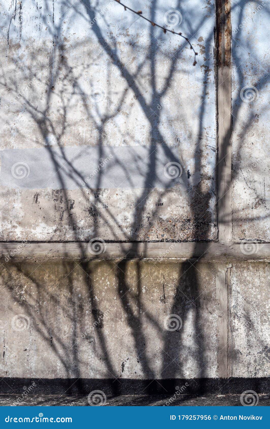 Background with Shadow of Branches on the Wall of the House Stock Photo ...
