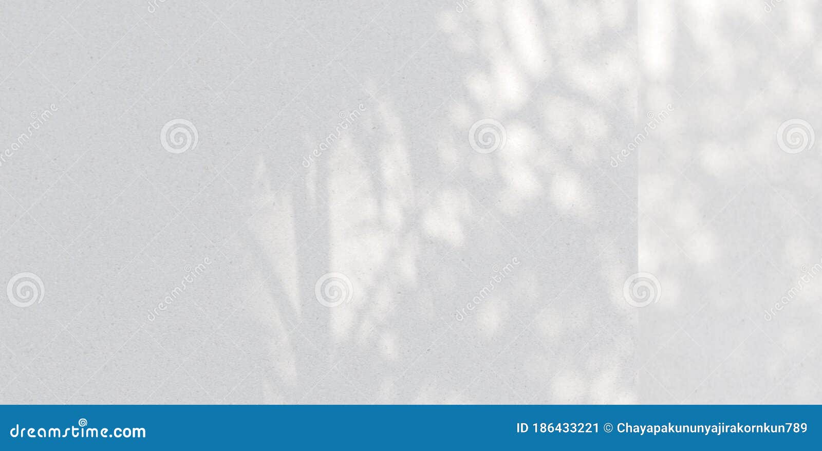 Shadow and Nature Shadows Trees Leaf on White Wall Stock Image - Image ...