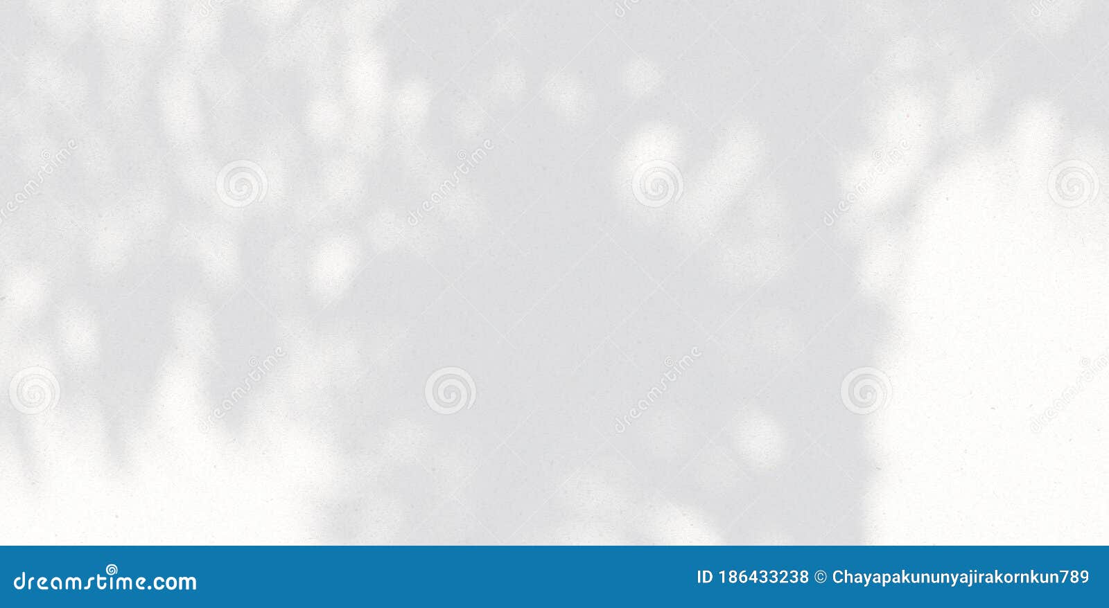 Shadow and Nature Shadows Trees Leaf on White Wall Stock Photo - Image ...