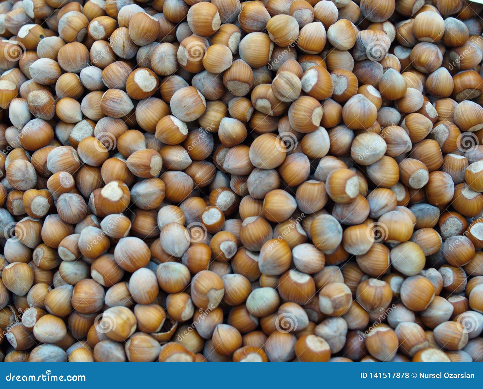 Shelled nuts stock photo. Image of snack, almond, walnut - 141517878