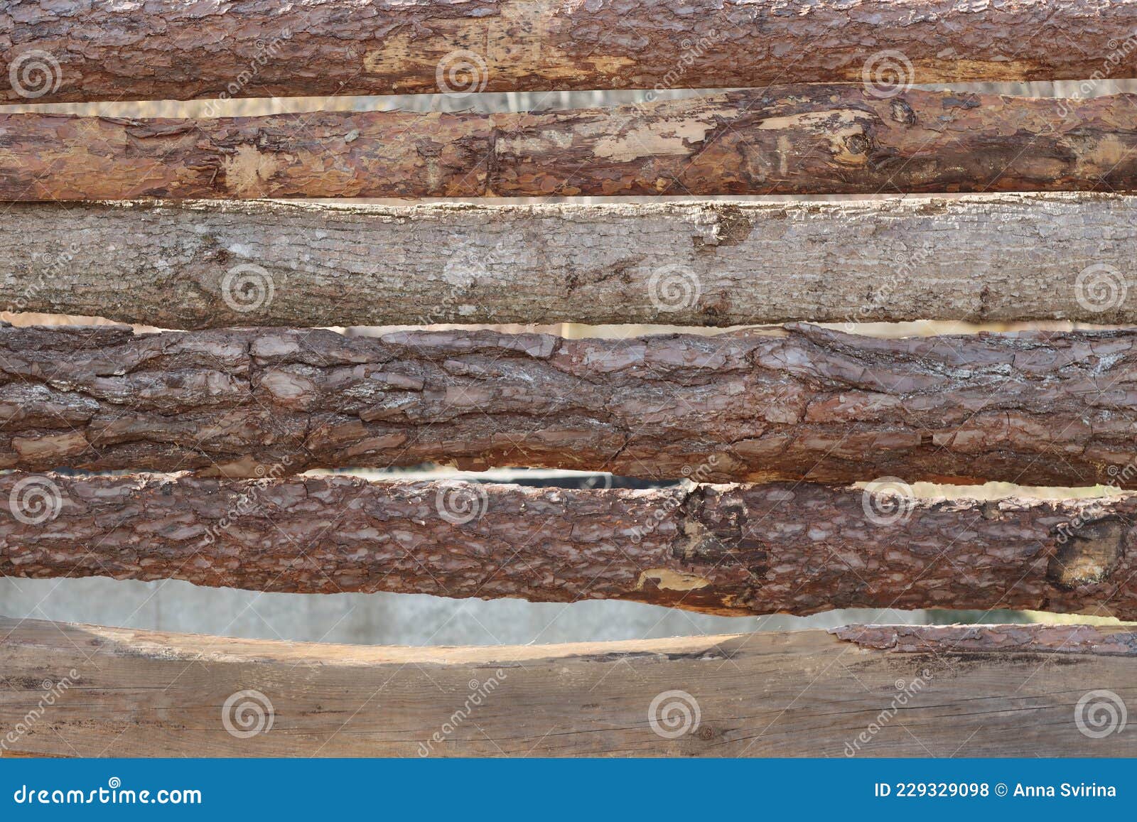A Shield from Boards of Coniferous Trees Stock Photo - Image of bark ...
