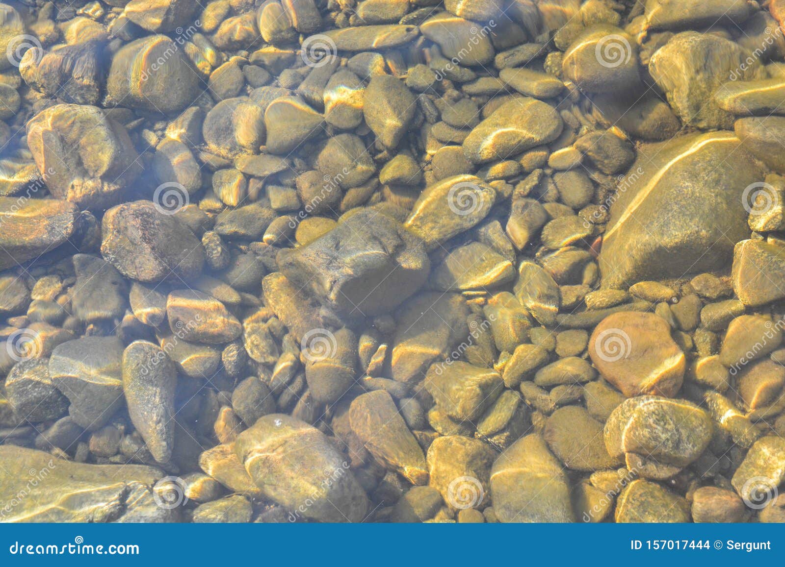 Background of Shiny Pebbles on the River Bottom Stock Photo - Image of ...