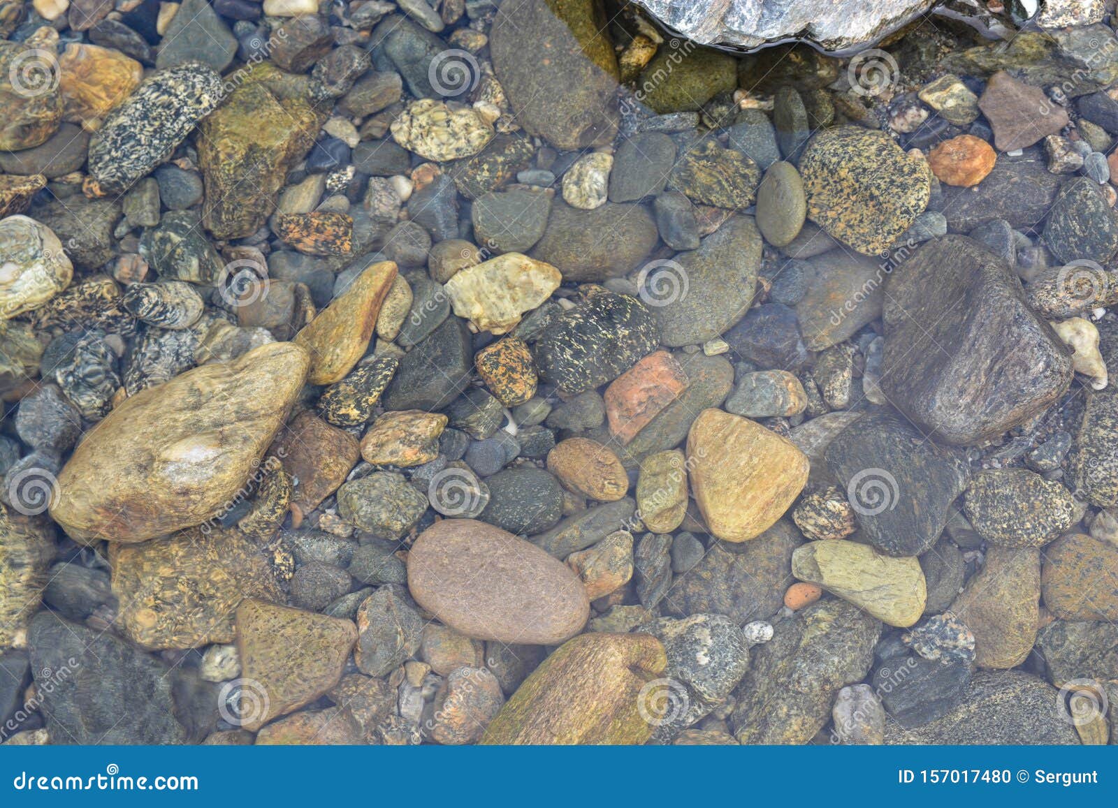 Background of Shiny Pebbles on the River Bottom Stock Photo - Image of ...