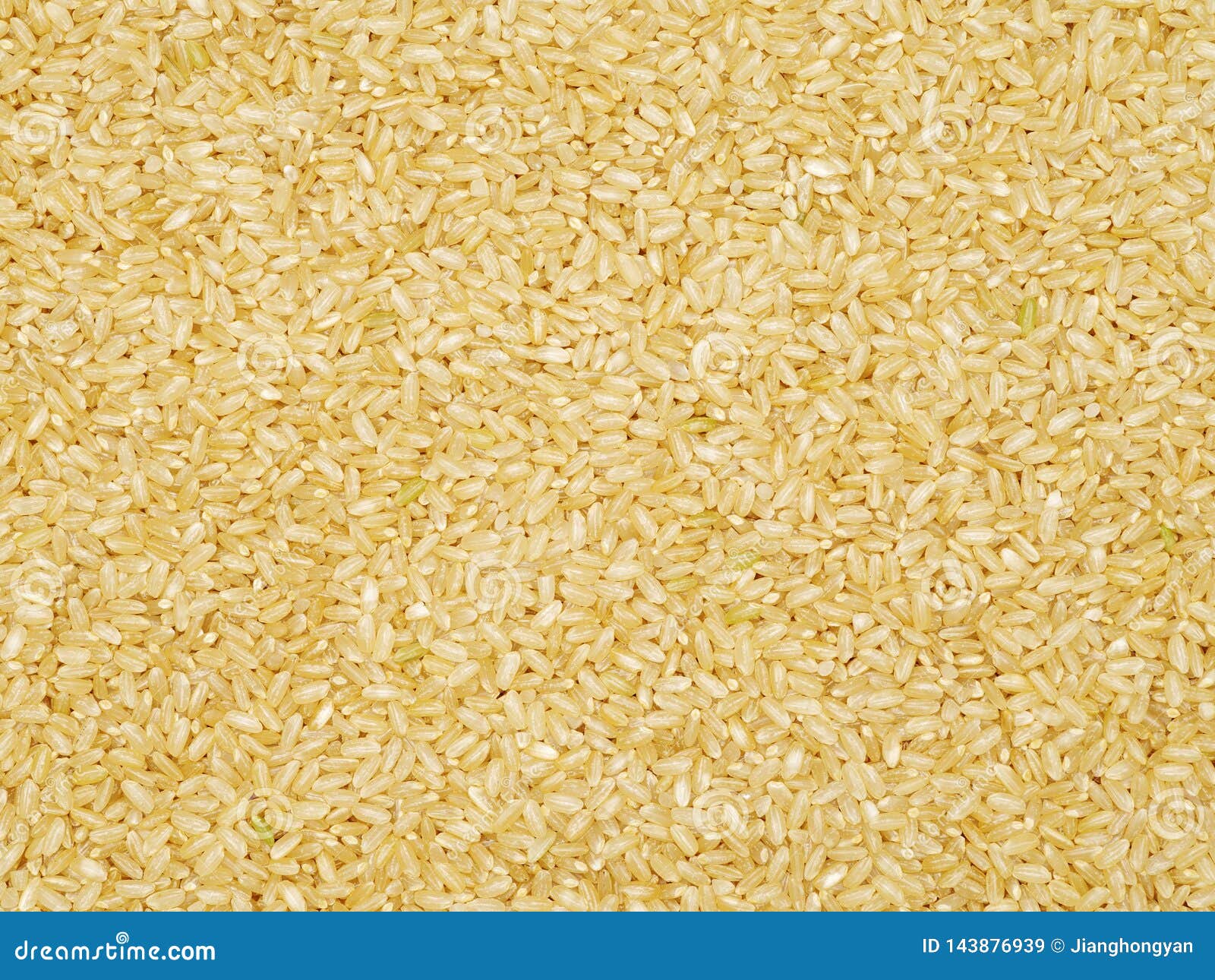 Short grain brown rice stock image. Image of long, seed - 143876939