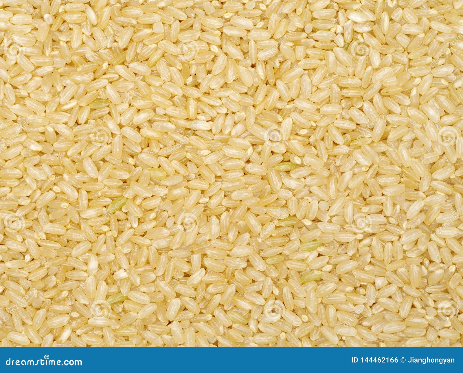 Short grain brown rice stock photo. Image of eating - 144462166