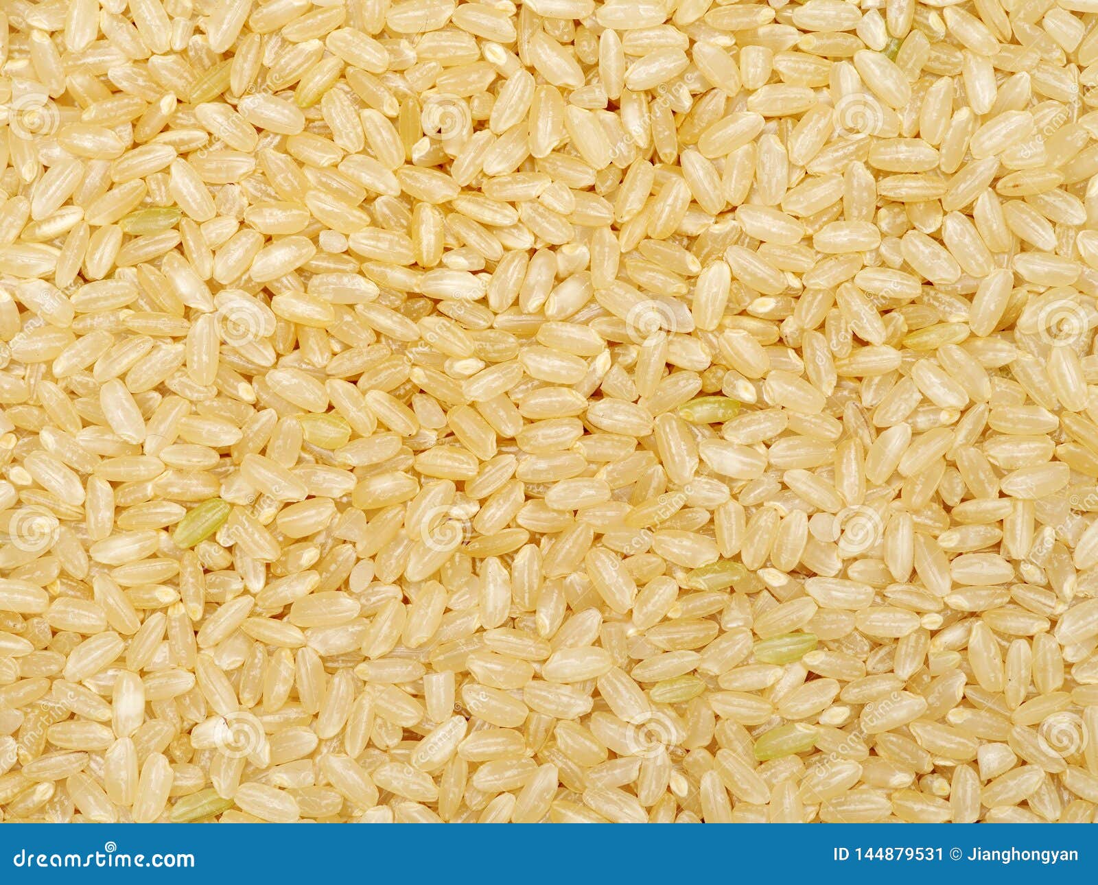 Short grain brown rice stock image. Image of grain, textures - 144879531