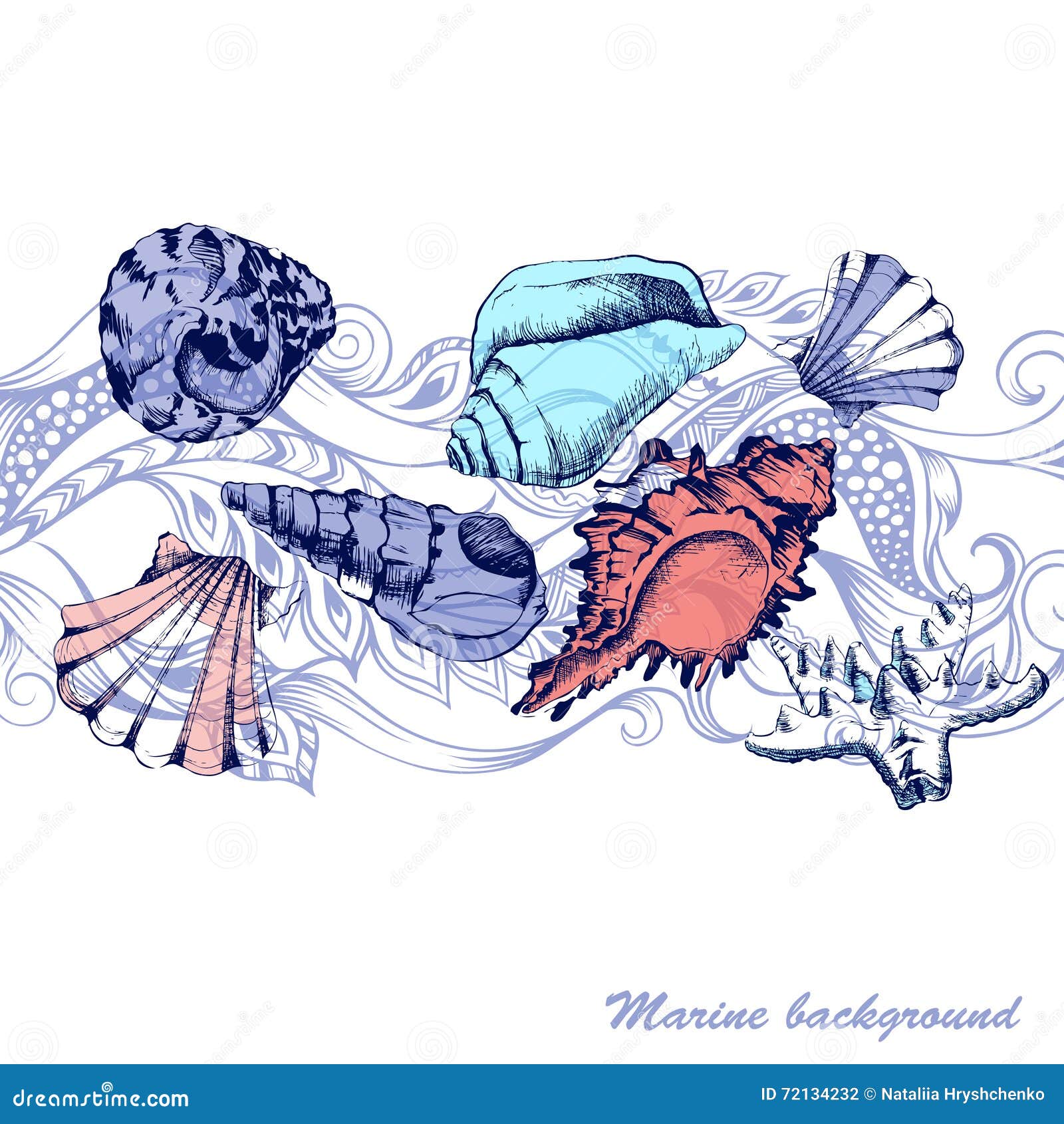 Background with Sketch of Shells Stock Vector - Illustration of cute ...