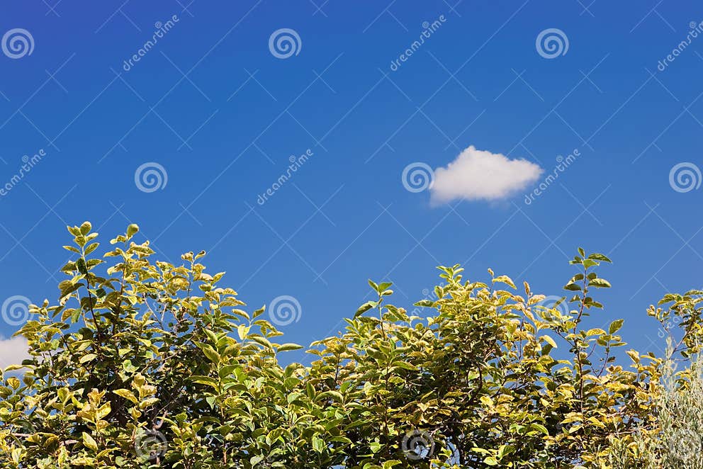 Background sky stock image. Image of decoration, nature - 15851359