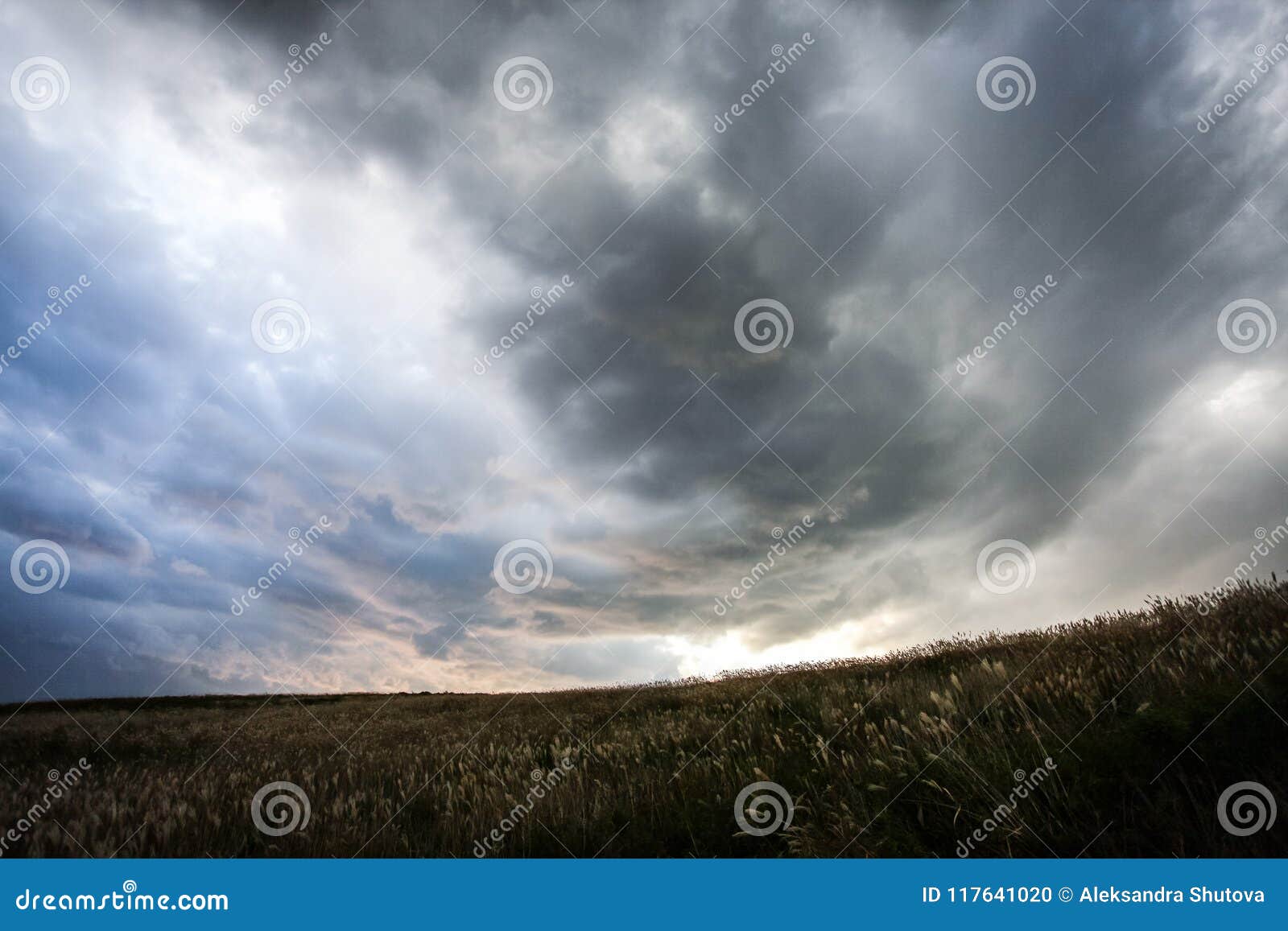 Background of the Sky with Clouds at Sunset with Ground Stock Photo ...