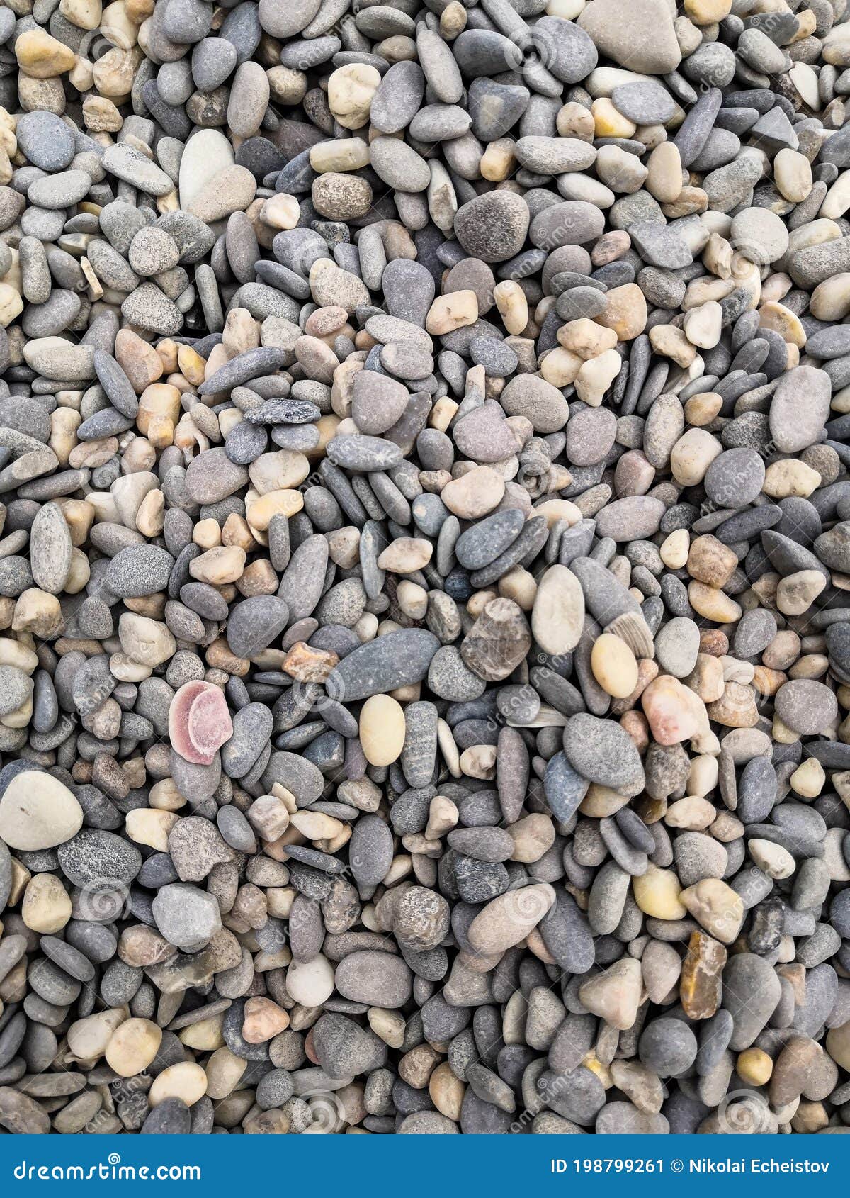 Background of Small Multi-colored Sea Stones Stock Image - Image of ...